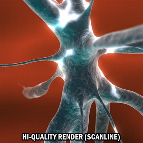 Ready Neuron Electricity Activity 3d Model