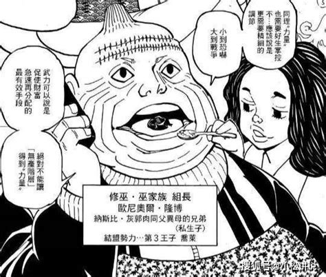 《全职猎人》剧情回顾：六大势力，明争暗斗，谁才是最后的赢家？王子家族能力