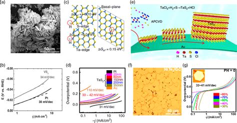 Electrocatalytic Performances Of Metallic Tmdcs M‐tmdcs Nanosheets In Download Scientific