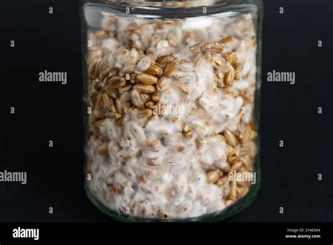 Mushroom Spawn Jars Of Grain Spawn Close Up Mycelium Growth On Grain