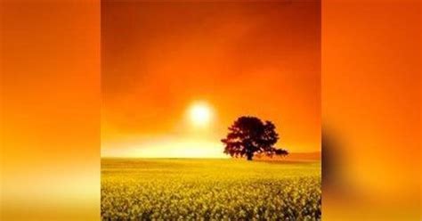 Tribute Wall David Gingold