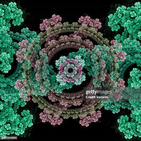 Microscopic Leaves Photos And Premium High Res Pictures Getty Images