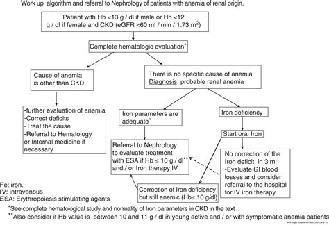 Anemia Of Chronic Disease Algorithm