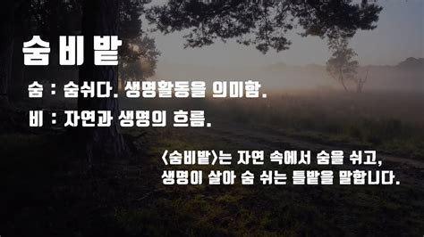 귀촌준비 02 숨비밭 만들기 숨비밭 자연농업 유기농텃밭 Youtube