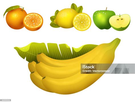 익은 과일 현실적인 맛있게 건강 한 벡터 일러스트 레이 션 채식 다이어트 신선도 열 대 간식 디저트 개체 그룹에 대한 스톡 벡터 아트 및 기타 이미지 Istock
