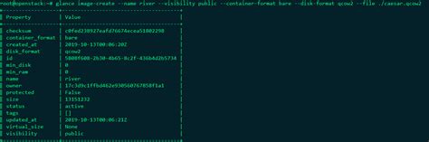 Openstack虚拟机导出镜像 李成石 博客园