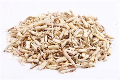 药食同源——白茅根 搜狐大视野 搜狐新闻