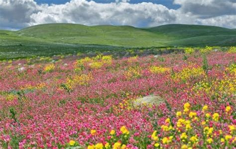 Russian Steppes Scenery Wonders Of The World Landscape