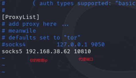 在 Kali Linux 虚拟机中实现主机代理共享的详细指南 技术栈
