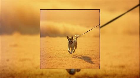 [country Rock] Breaking The Leash That Holds Me Youtube