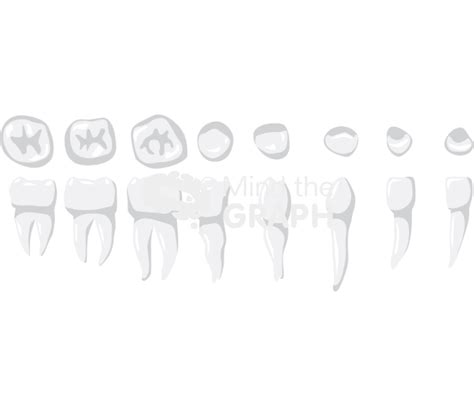 Free Teeth Lower Icons Symbols Pictures And Images Mind The Graph