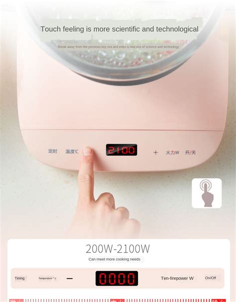 Electric Multifunction Induction Cooker Pot Stove Vicedeal