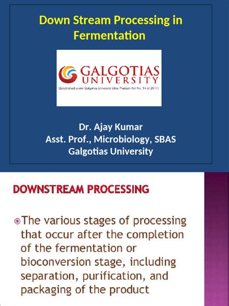 Down Stream Process In Fermentation Pdf