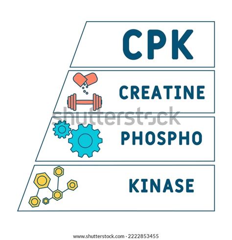 Cpk Creatine Phosphokinase Acronym Business Concept Stock Vector