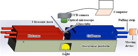 Schematic Diagram Of The In Situ Experimental Setup Download Scientific Diagram