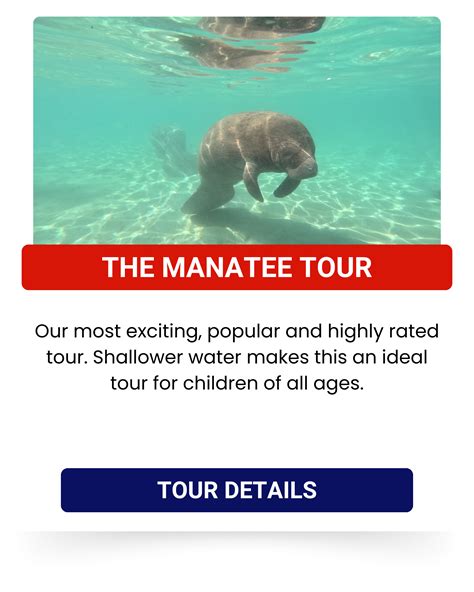 Manatee Swim Tour — Paddletail Waterfront Adventures