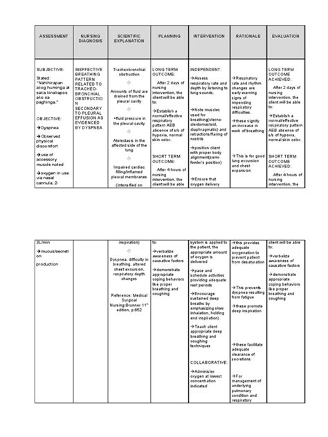 Ncp Ineffective Breathing Pattern