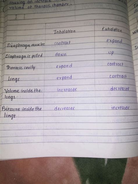 Difference Between Inhalation And Exhalation