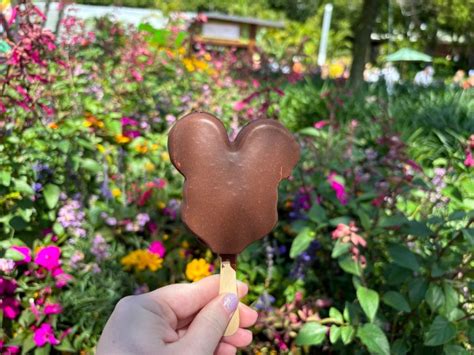 Exploring Animation Courtyard Disneys Hollywood Studios Dvc Shop