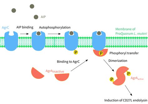 Teamoxfordour Solution