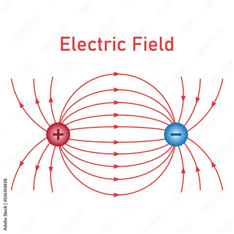 Electric Field Of Two Point Charges Diagram Scientific Vector Illustration Isolated On White