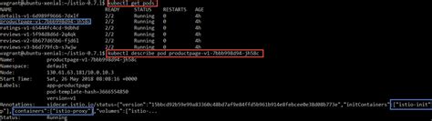 running istio on oracle kubernetes engine the managed kubernetes cloud