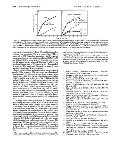 Role Of Dna Gyrase In Phix Replicative Form Replication In Vitro