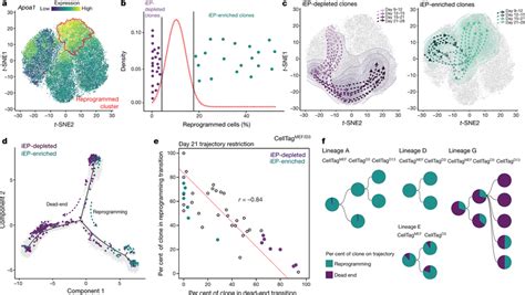 Mapping Reprogramming Trajectories And Timing Of Cell Fate