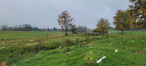 Planting A Riparian Buffer Lancaster County Watersheds