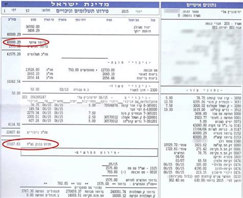 הצצה לתלוש השכר המלא של חכ שלי יחימוביץ גלובס