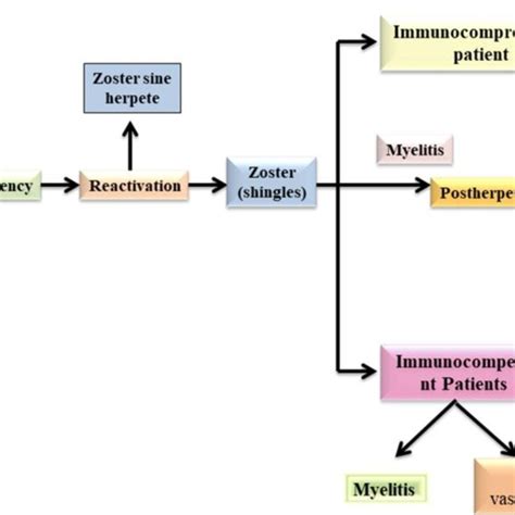 Pdf Review Of The Symptoms Pathogenesis And Available Treatments For The Chickenpox