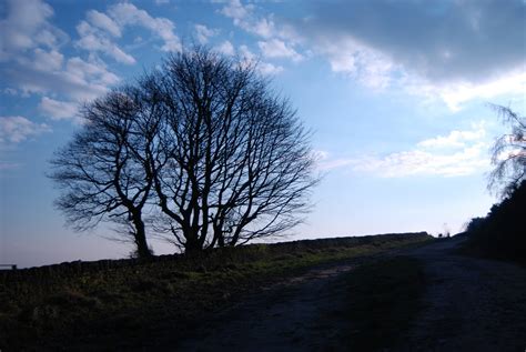 The Simon Jacques Files November 2011