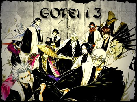 Gotei 13 Before Aizen Assaulting