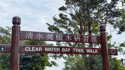 大坑墩行山︱清水灣樹木研習徑睇海景 燒烤及放風箏兼享親子樂 山全部都係山