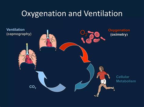 End Tidal Co2 And Transcutaneous Monitoring Pptx