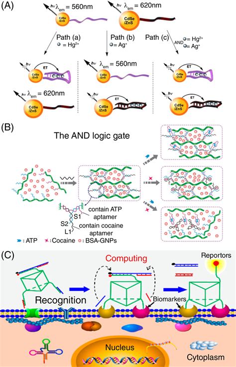 Nucleic Acid‐based Logic Devices Driven By Cations Biological Small
