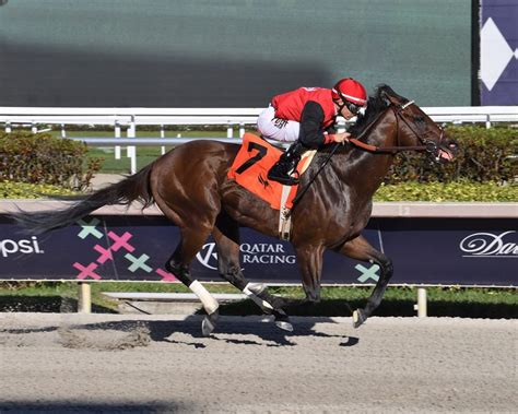 Candy Man Rocket Respondió Al Favoritismo Y Ganó El Gulfstream Park Sprint Stakes Drf En Español