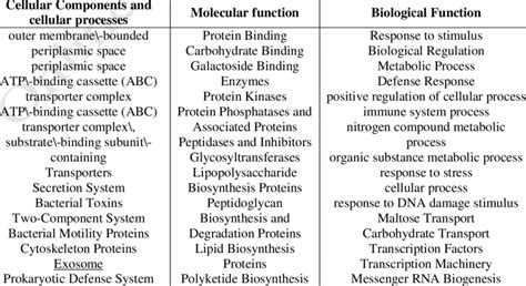 Functional Annotation Of Hypothetical Protein L345 13461 Download Scientific Diagram