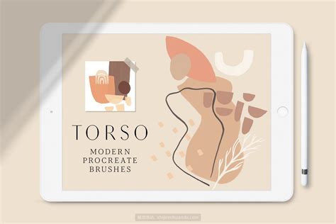 775个独特的 Procreate 画笔套装 Procreate Stamp Brushes Bundle