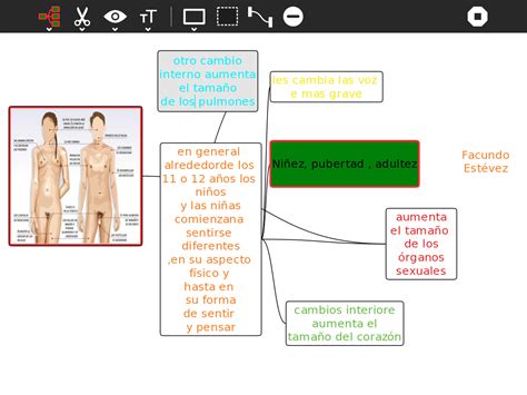 Construyendo La Sexualidad Cambios En La Pubertad
