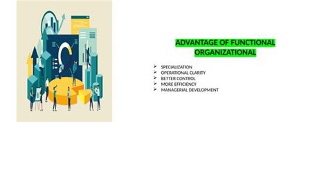 Functional Divisional And Matrix Organizational Structure Pptx