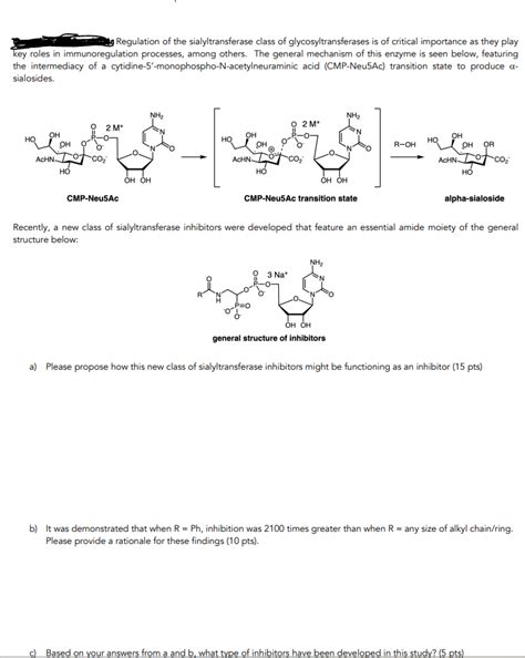 Solved Regulation Of The Sialyltransferase Class Of