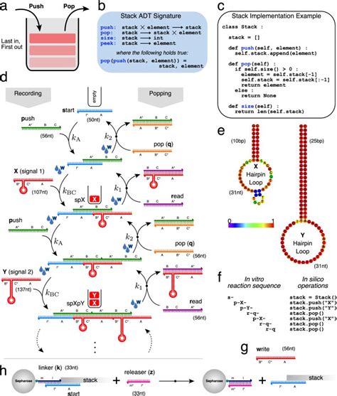 Statistics Computerscience Deeplearning Algorithms Machinelearning Datascience
