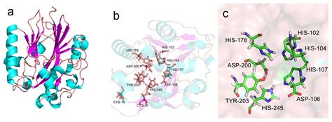 Ahlx An N Acylhomoserine Lactonase With Unique Properties