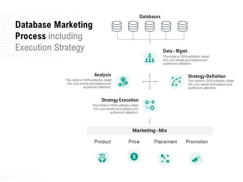 Database Marketing Process Including Execution Strategy Presentation