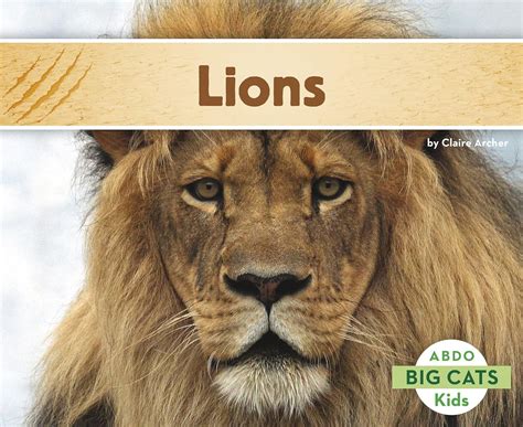 Paquete De Lectura Para Principiantes De Wild Cats Explora El Mundo De
