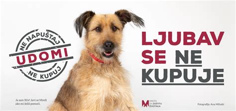 OŠ Trnsko Zagrebački Kutak