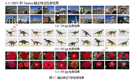 基于感兴趣区域的图像检索技术 其他 计算机