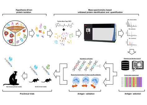 Antigen Discovery Pipeline Id Antigens