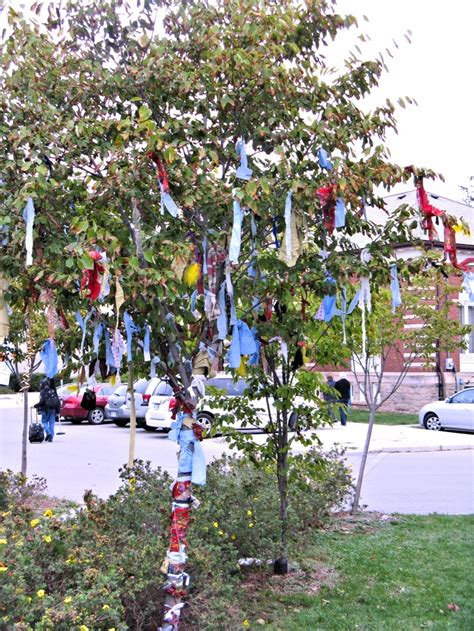 Rag Tree Installation At Grimsby Public Art Gallery Sept 2012 Pensée